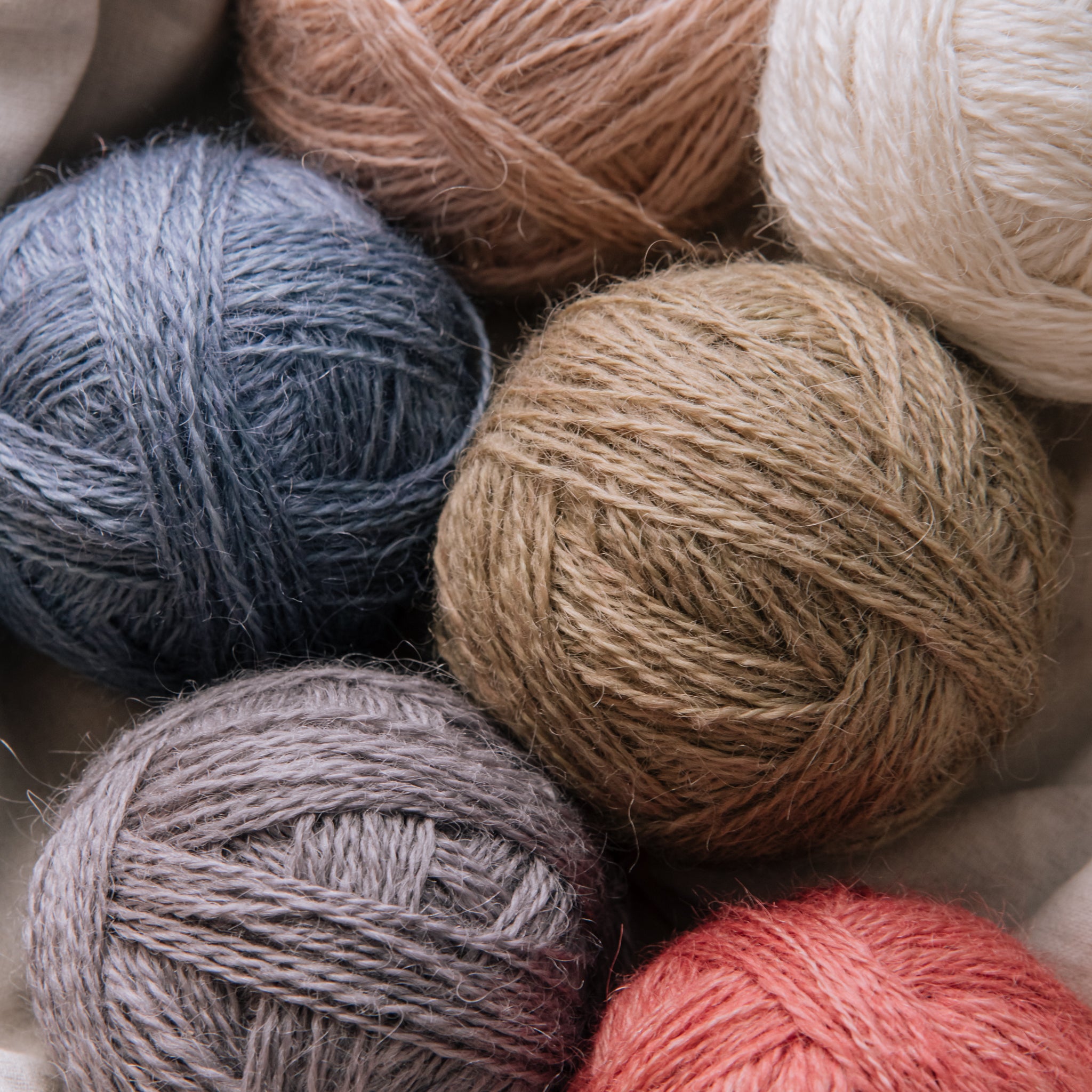 Stone Wool Cotswold Fingering Weight Yarn – Quince & Co.